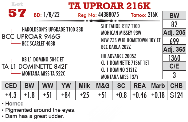 Thanks for allowing time for the videos to load.