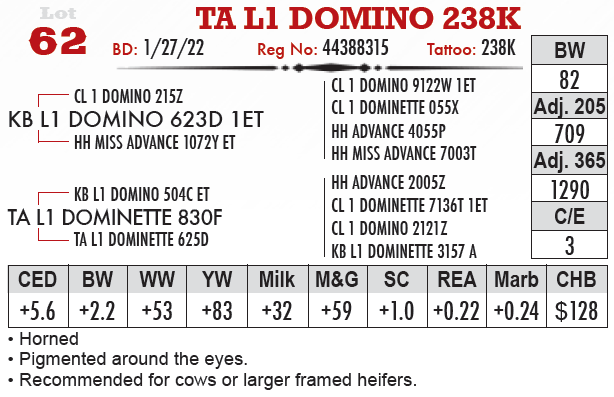 Thanks for allowing time for the videos to load.