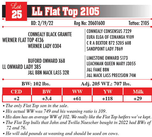 Thanks for allowing time for the videos to load.