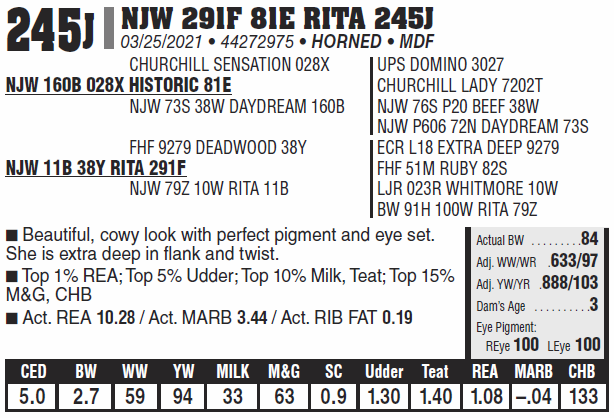 Thanks for allowing time for the videos to load.