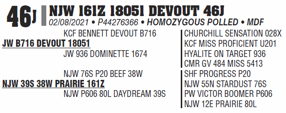 Thanks for allowing time for the videos to load.