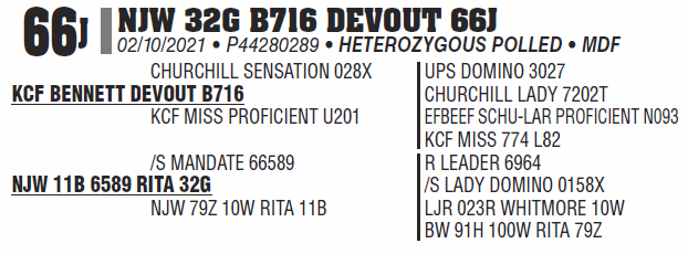 Thanks for allowing time for the videos to load.